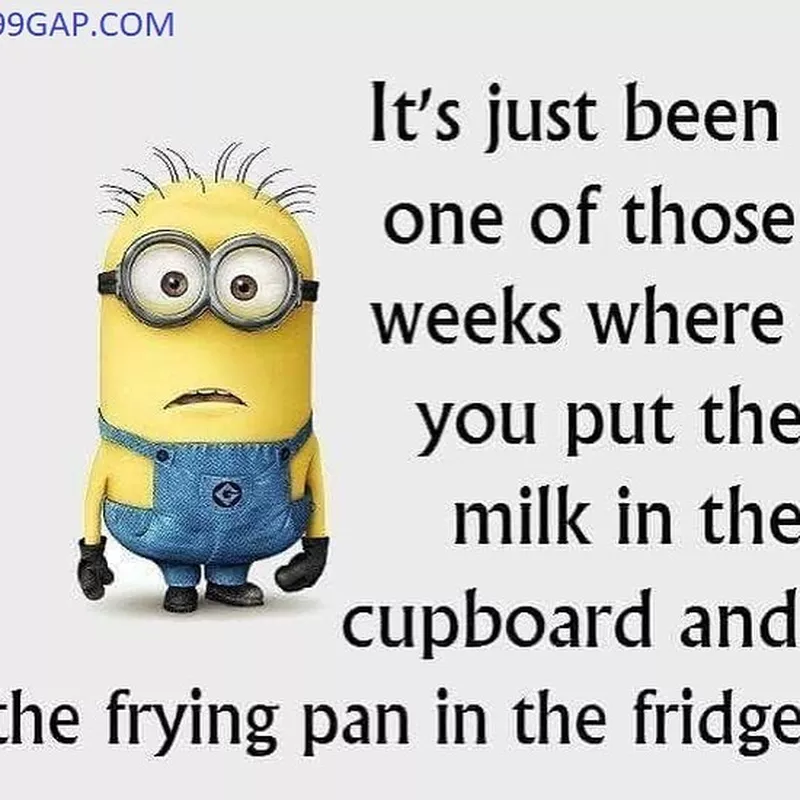 51 Funny Minion Memes We Didn't Know We Needed