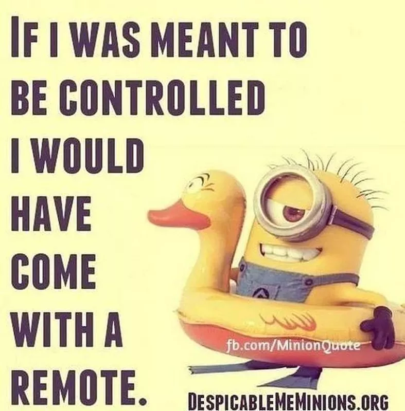 51 Funny Minion Memes We Didn't Know We Needed