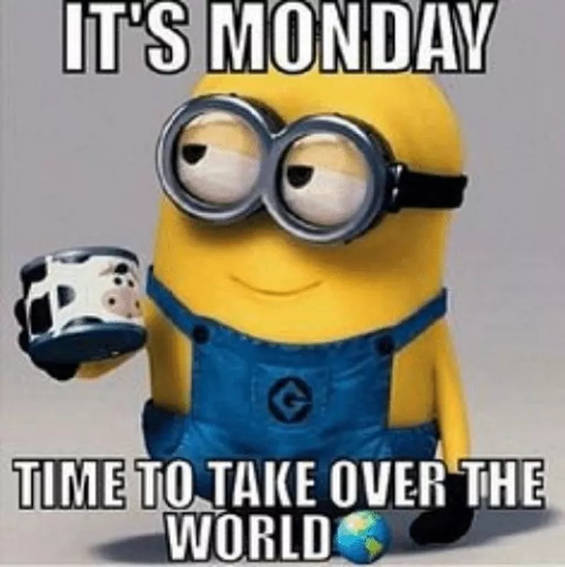 51 Funny Minion Memes We Didn't Know We Needed