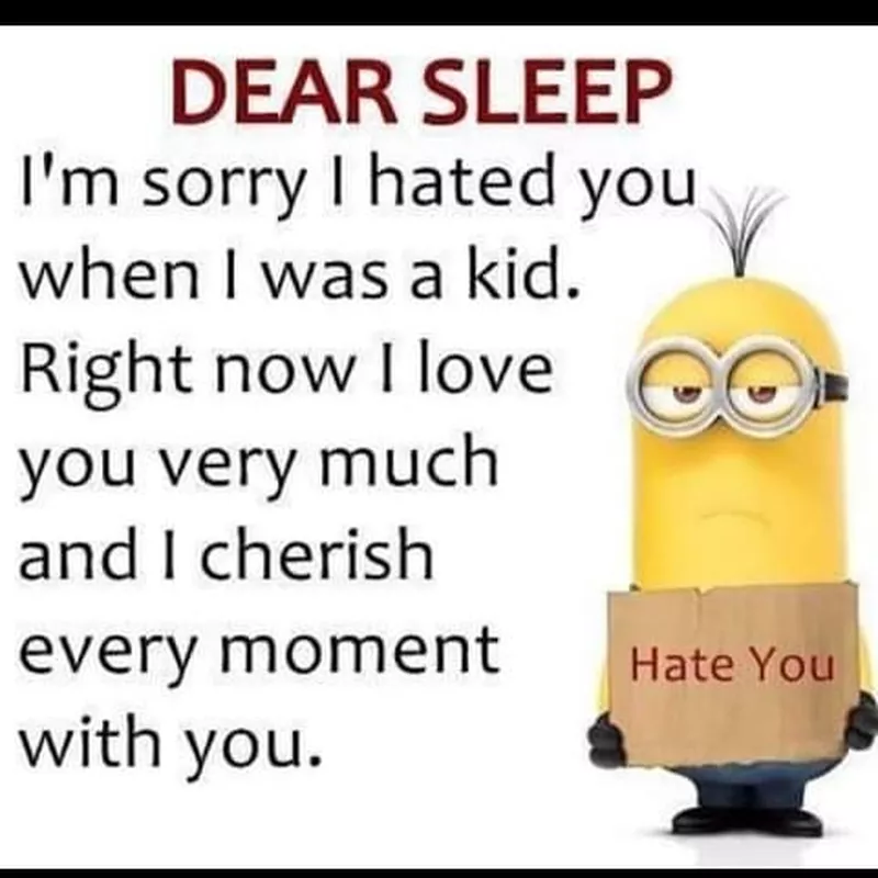 51 Funny Minion Memes We Didn't Know We Needed