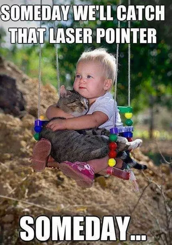 70 Hilarious Kid Memes That Will Make You Chuckle